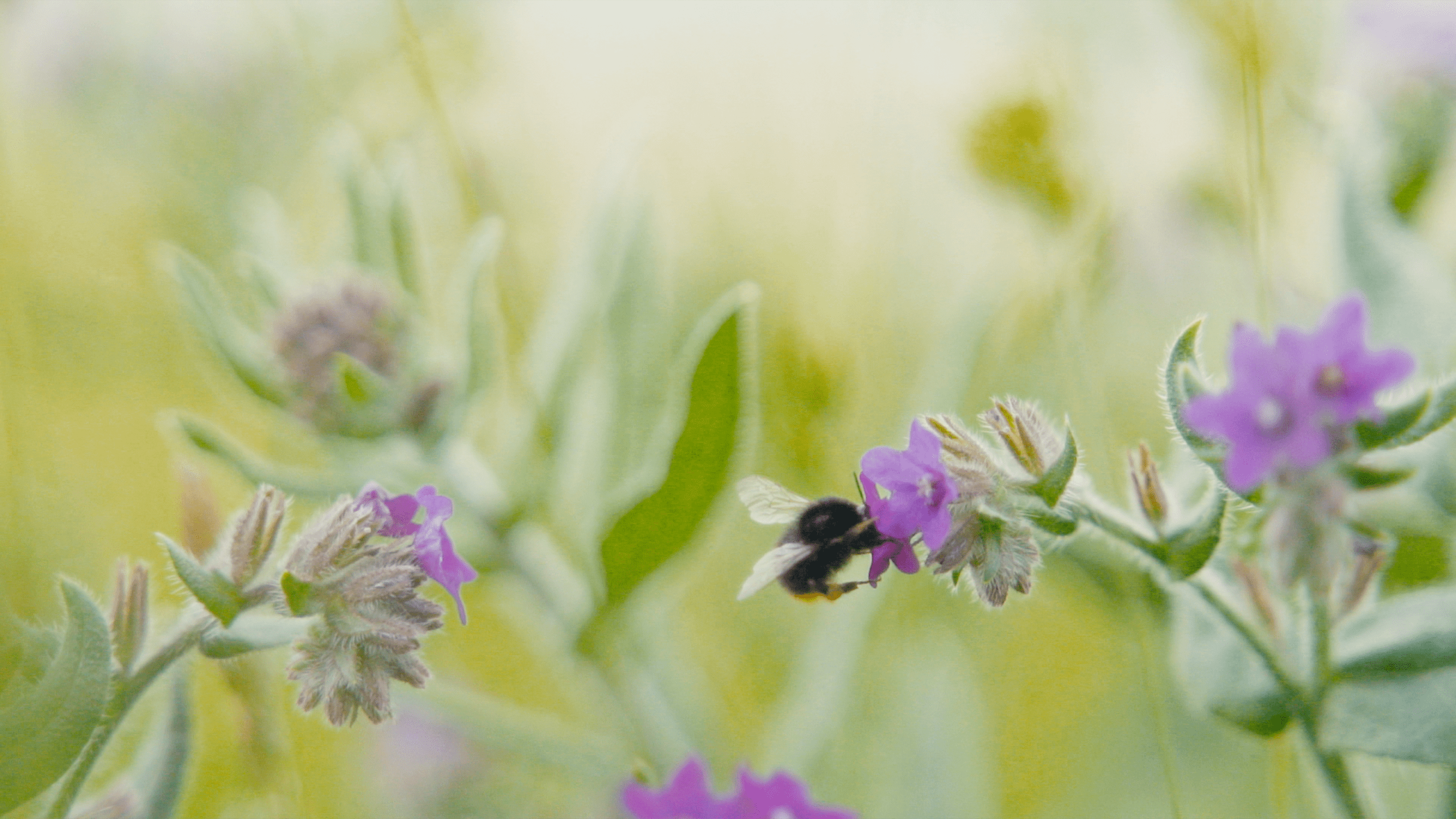 Greater Bio | Gate 21